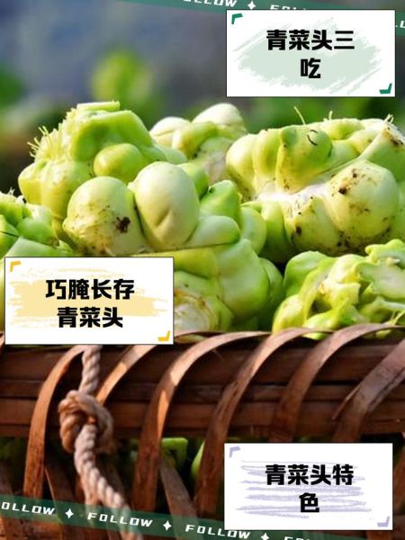 青菜头怎么做好吃_青菜头图片长什么样-第1张图片-山城妙识