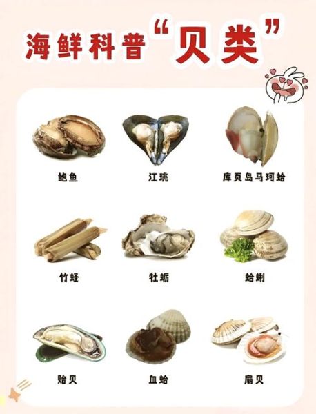 贝类图片怎么分辨_贝类图片高清下载方法-第2张图片-山城妙识