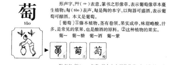 葡萄的拼音怎么拼写_葡萄拼音声调怎么标-第2张图片-山城妙识