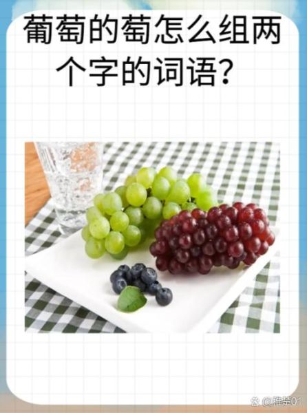 葡萄的拼音怎么拼写_葡萄拼音声调怎么标-第1张图片-山城妙识