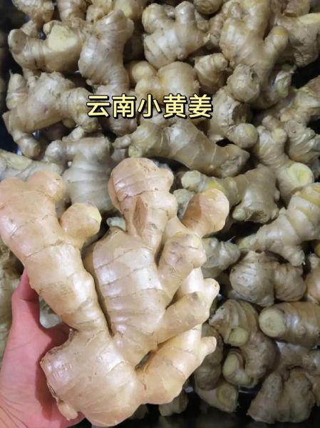 黄姜价格多少钱一斤_黄姜价格走势2024-第3张图片-山城妙识