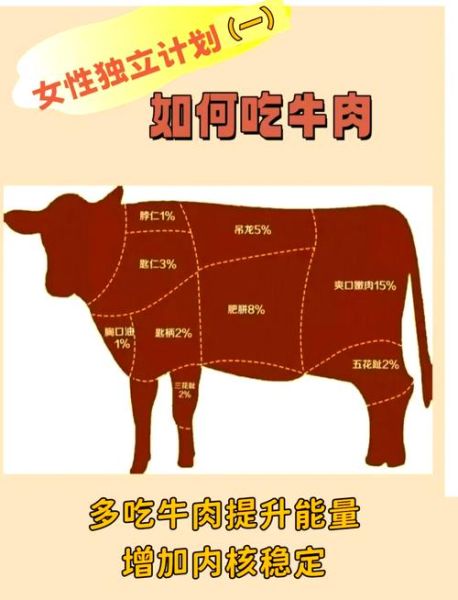 冷吃牛肉用哪个部位的肉_怎么选才够嫩-第3张图片-山城妙识