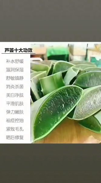 芦荟灌肤的好处和坏处_敏感肌能用吗-第1张图片-山城妙识