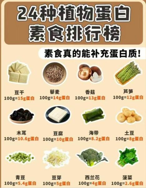 最营养的素食谱有哪些_素食如何补充蛋白质-第2张图片-山城妙识 最营养的素食谱有哪些_素食如何补充蛋白质-第2张图片-山城妙识