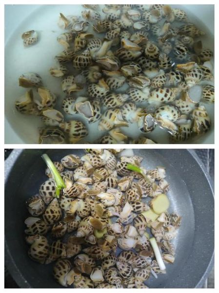 白灼海螺怎么做_海螺焯水几分钟-第2张图片-山城妙识