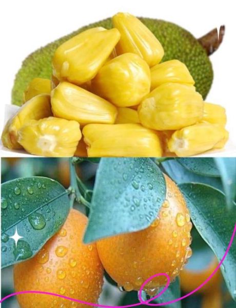 高蛋白水果有哪些_高蛋白水果排行榜-第1张图片-山城妙识 高蛋白水果有哪些_高蛋白水果排行榜-第1张图片-山城妙识