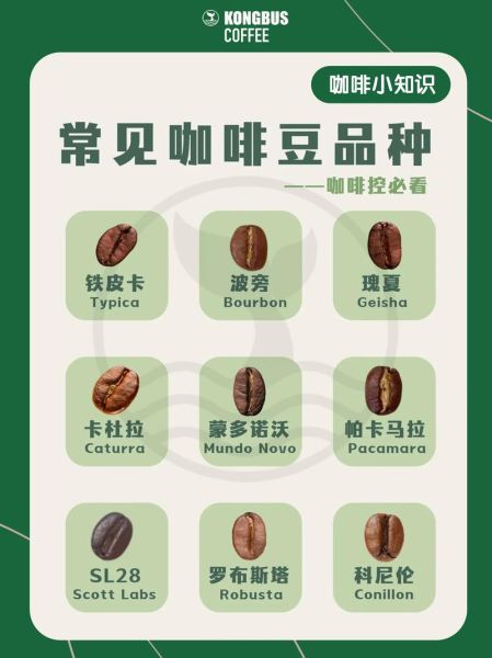 咖啡的种类有哪些_如何挑选适合自己的咖啡豆-第1张图片-山城妙识 咖啡的种类有哪些_如何挑选适合自己的咖啡豆-第1张图片-山城妙识