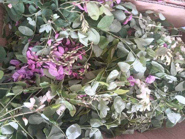 紫槐花怎么做好吃_紫槐花做法大全-第1张图片-山城妙识 紫槐花怎么做好吃_紫槐花做法大全-第1张图片-山城妙识