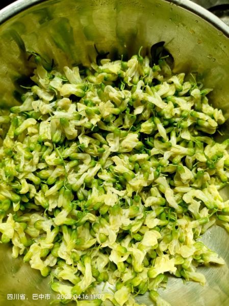 紫槐花怎么做好吃_紫槐花做法大全-第3张图片-山城妙识 紫槐花怎么做好吃_紫槐花做法大全-第3张图片-山城妙识