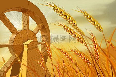 蚂蚁庄园麦田在哪_蚂蚁庄园麦田怎么玩-第3张图片-山城妙识 蚂蚁庄园麦田在哪_蚂蚁庄园麦田怎么玩-第3张图片-山城妙识