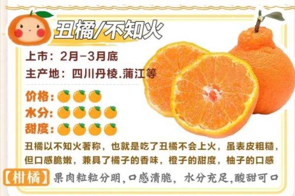 丑柑的功效与作用_丑柑上火还是降火-第1张图片-山城妙识