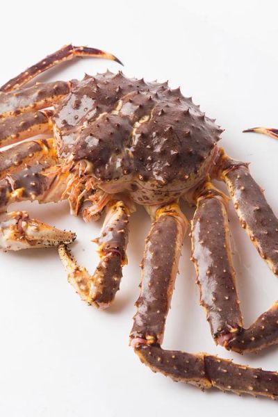 阿拉斯加帝王蟹多少钱一斤_2024最新行情-第2张图片-山城妙识