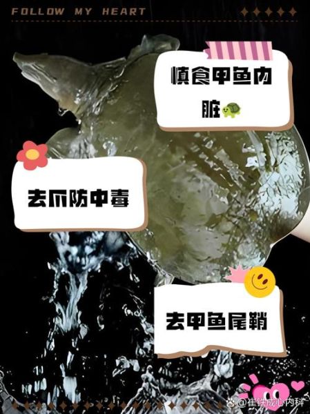 甲鱼的功效与禁忌_什么人不能吃甲鱼-第3张图片-山城妙识