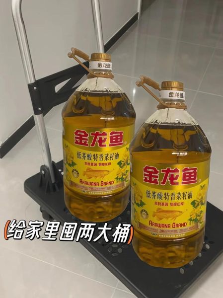 龙鱼多少钱一条_龙鱼价格表2024-第3张图片-山城妙识 龙鱼多少钱一条_龙鱼价格表2024-第3张图片-山城妙识