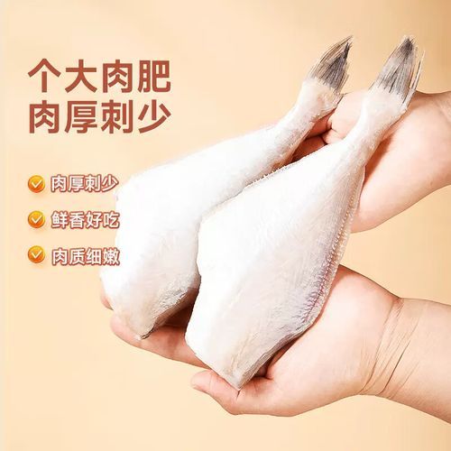 马面鱼和扒皮鱼的区别_哪个更好吃-第3张图片-山城妙识