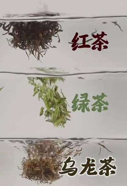绿茶和红茶的区别_六大茶类有哪些-第2张图片-山城妙识 绿茶和红茶的区别_六大茶类有哪些-第2张图片-山城妙识