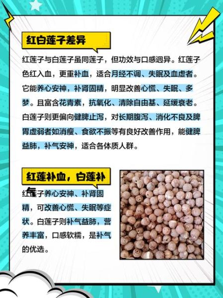 白莲子和红莲子的区别_哪个更适合养生-第2张图片-山城妙识