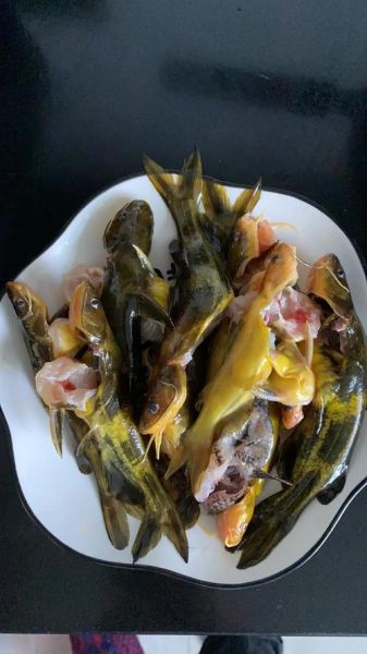 黄箭鱼是什么鱼_黄箭鱼怎么做好吃-第3张图片-山城妙识 黄箭鱼是什么鱼_黄箭鱼怎么做好吃-第3张图片-山城妙识