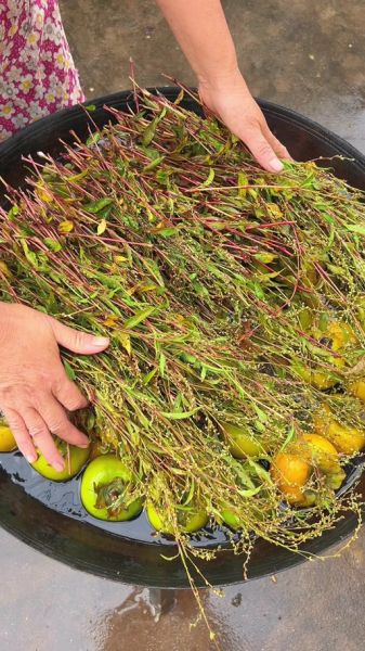 柿子怎么泡更甜更脆_用什么水泡柿子最好-第2张图片-山城妙识