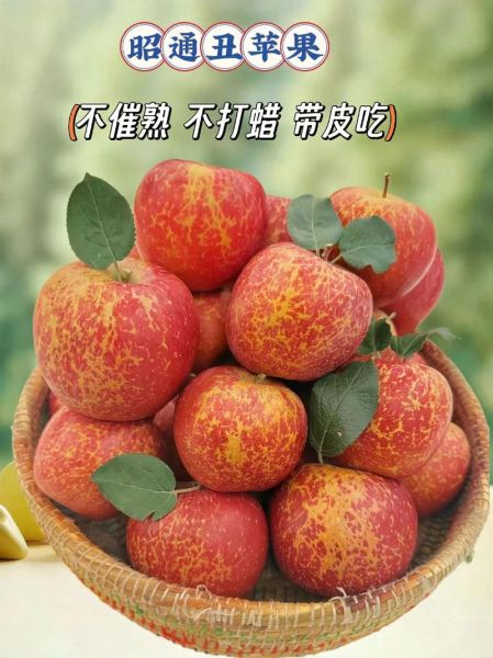 冰糖心苹果和普通苹果有什么区别_哪个更好吃-第1张图片-山城妙识