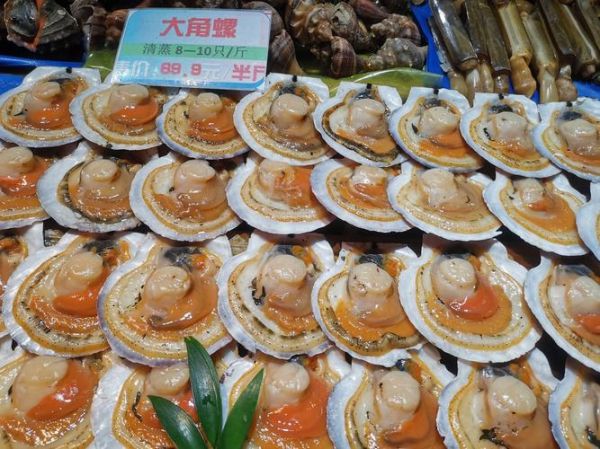鲜贝和扇贝一样吗_鲜贝与扇贝区别-第2张图片-山城妙识