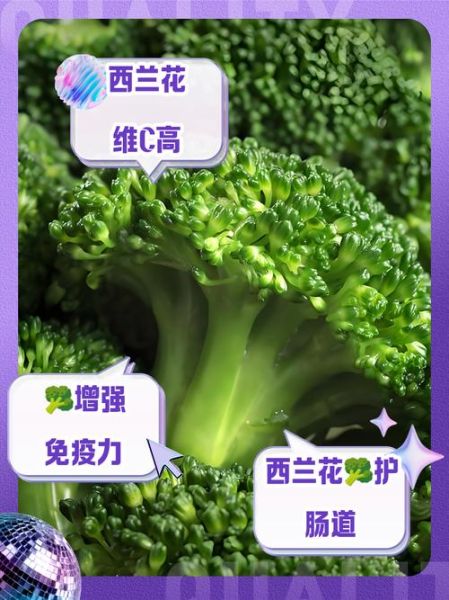菜花和西兰花的区别_哪个营养价值更高-第2张图片-山城妙识