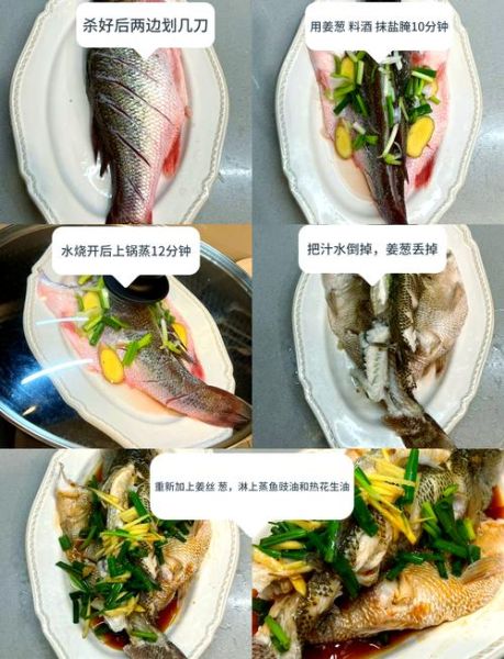 鱼怎么做才好吃_清蒸鲈鱼怎么做好吃-第2张图片-山城妙识
