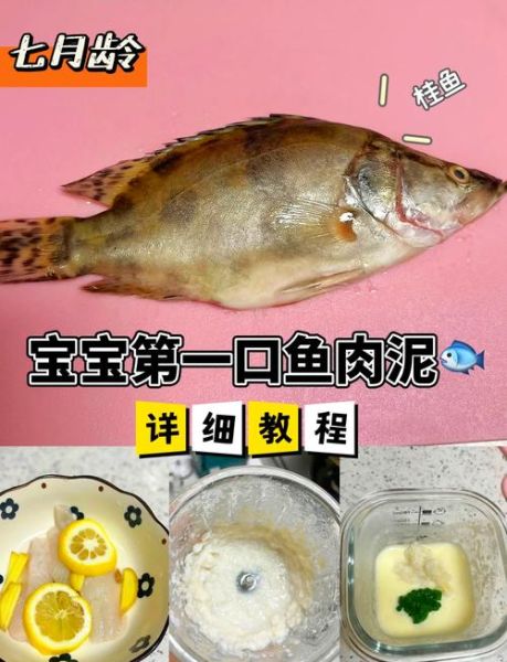 野生桂鱼图片_如何分辨真假-第1张图片-山城妙识