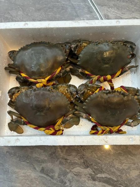 2斤多青蟹多少钱_青蟹价格怎么算-第2张图片-山城妙识