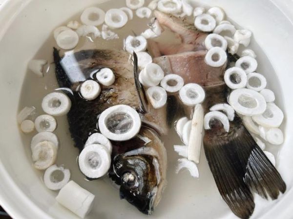 通草鲫鱼汤怎么做下奶_产妇喝几天见效-第3张图片-山城妙识