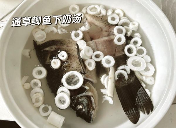 通草鲫鱼汤怎么做下奶_产妇喝几天见效-第1张图片-山城妙识
