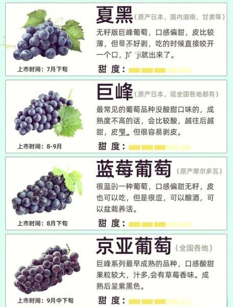夏黑葡萄和巨峰葡萄哪个好吃_口感差异大吗-第1张图片-山城妙识