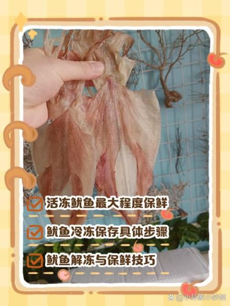新鲜鱿鱼怎么处理_冷冻保存技巧-第1张图片-山城妙识 新鲜鱿鱼怎么处理_冷冻保存技巧-第1张图片-山城妙识