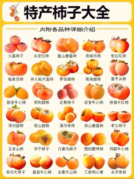 秋天成熟的水果有哪些颜色_常见品种与营养价值-第2张图片-山城妙识 秋天成熟的水果有哪些颜色_常见品种与营养价值-第2张图片-山城妙识