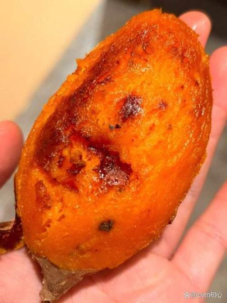 烤箱烤红薯需要用锡纸包起来吗_烤红薯要不要包锡纸-第1张图片-山城妙识 烤箱烤红薯需要用锡纸包起来吗_烤红薯要不要包锡纸-第1张图片-山城妙识