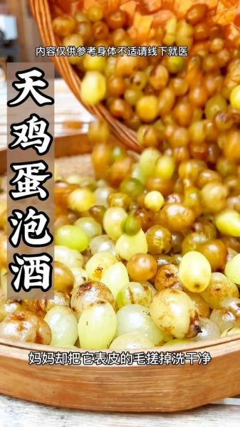 凤凰蛋是什么_凤凰蛋的功效与作用-第2张图片-山城妙识 凤凰蛋是什么_凤凰蛋的功效与作用-第2张图片-山城妙识