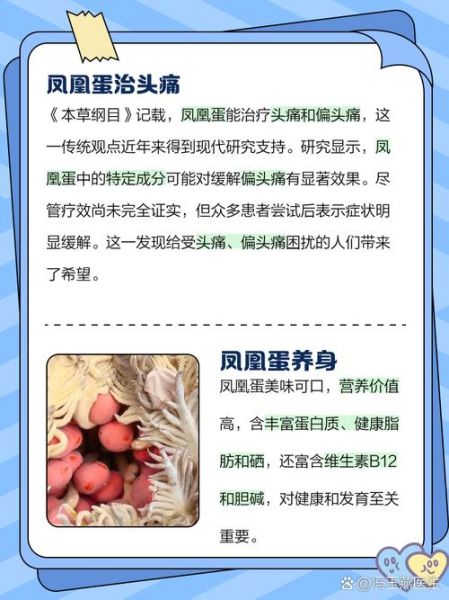 凤凰蛋是什么_凤凰蛋的功效与作用-第1张图片-山城妙识 凤凰蛋是什么_凤凰蛋的功效与作用-第1张图片-山城妙识