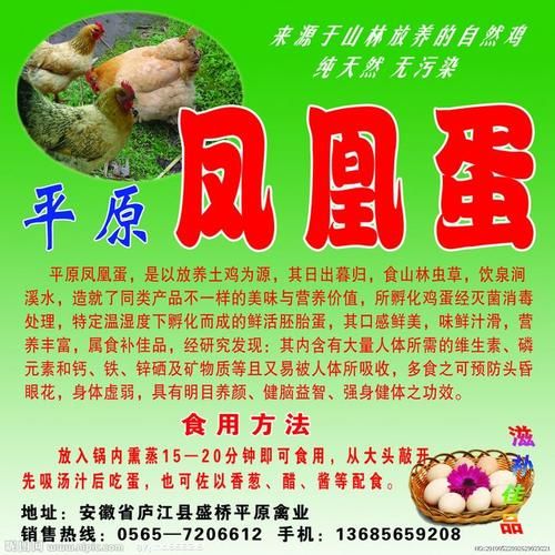 凤凰蛋是什么_凤凰蛋的功效与作用-第3张图片-山城妙识 凤凰蛋是什么_凤凰蛋的功效与作用-第3张图片-山城妙识