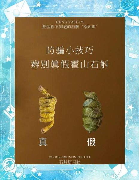 野生石斛图片大全大图_如何辨别真假野生石斛-第2张图片-山城妙识 野生石斛图片大全大图_如何辨别真假野生石斛-第2张图片-山城妙识