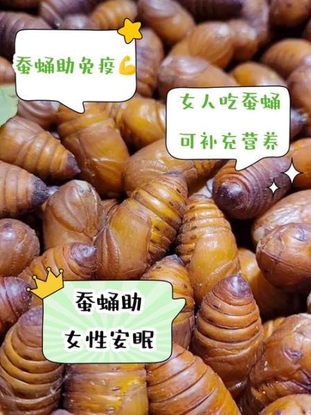 女人吃蚕蛹有什么好处和坏处_女性吃蚕蛹会发胖吗-第2张图片-山城妙识 女人吃蚕蛹有什么好处和坏处_女性吃蚕蛹会发胖吗-第2张图片-山城妙识