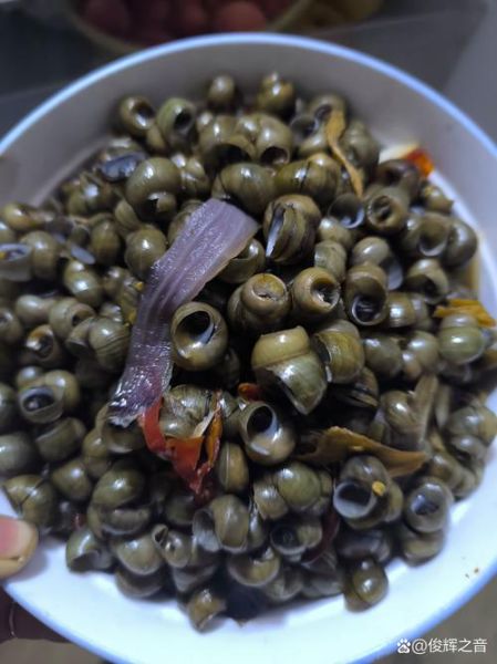 田螺怎么清洗干净_田螺怎么炒好吃-第3张图片-山城妙识 田螺怎么清洗干净_田螺怎么炒好吃-第3张图片-山城妙识