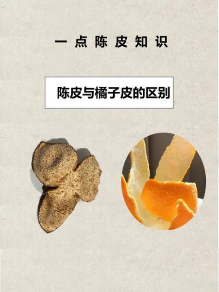 陈皮是橘子皮吗_陈皮和橘子皮区别-第2张图片-山城妙识 陈皮是橘子皮吗_陈皮和橘子皮区别-第2张图片-山城妙识