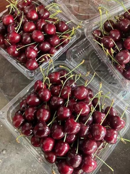 补血吃什么水果_哪些水果补血效果最好-第1张图片-山城妙识