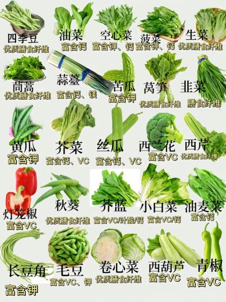 100种蔬菜图片大全名称_哪些蔬菜适合新手种植-第3张图片-山城妙识 100种蔬菜图片大全名称_哪些蔬菜适合新手种植-第3张图片-山城妙识