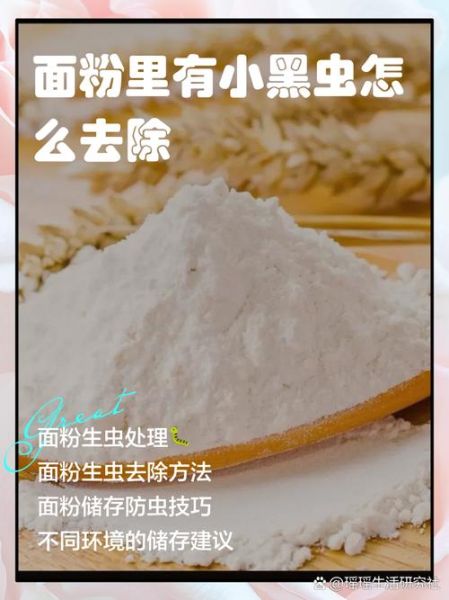 面粉生虫子怎么办_面粉长虫还能吃吗-第1张图片-山城妙识 面粉生虫子怎么办_面粉长虫还能吃吗-第1张图片-山城妙识