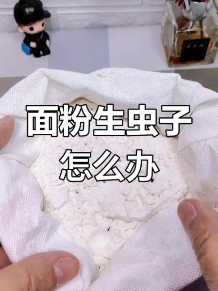 面粉生虫子怎么办_面粉长虫还能吃吗-第2张图片-山城妙识 面粉生虫子怎么办_面粉长虫还能吃吗-第2张图片-山城妙识