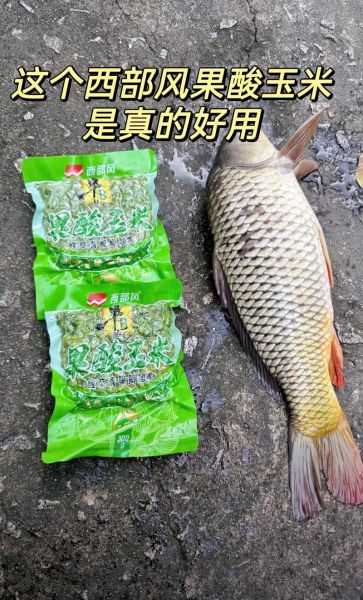 青鱼吃玉米吗_玉米钓青鱼技巧-第3张图片-山城妙识