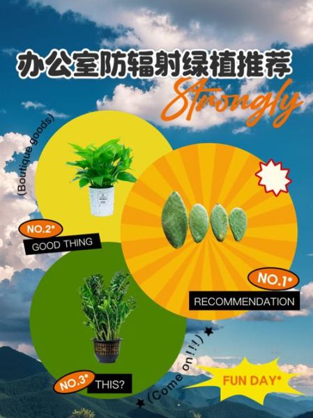 什么植物防辐射最好_防辐射植物排名-第2张图片-山城妙识