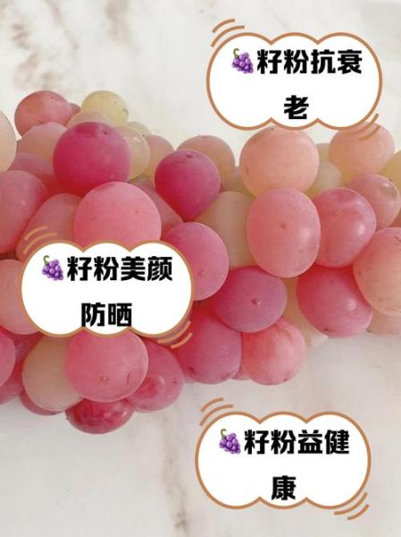 葡萄籽粉怎么吃_葡萄籽粉一天吃几次-第1张图片-山城妙识