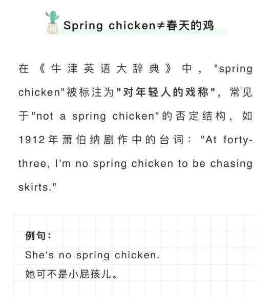 chicken和poultry的区别_chicken用英语怎么说-第1张图片-山城妙识 chicken和poultry的区别_chicken用英语怎么说-第1张图片-山城妙识